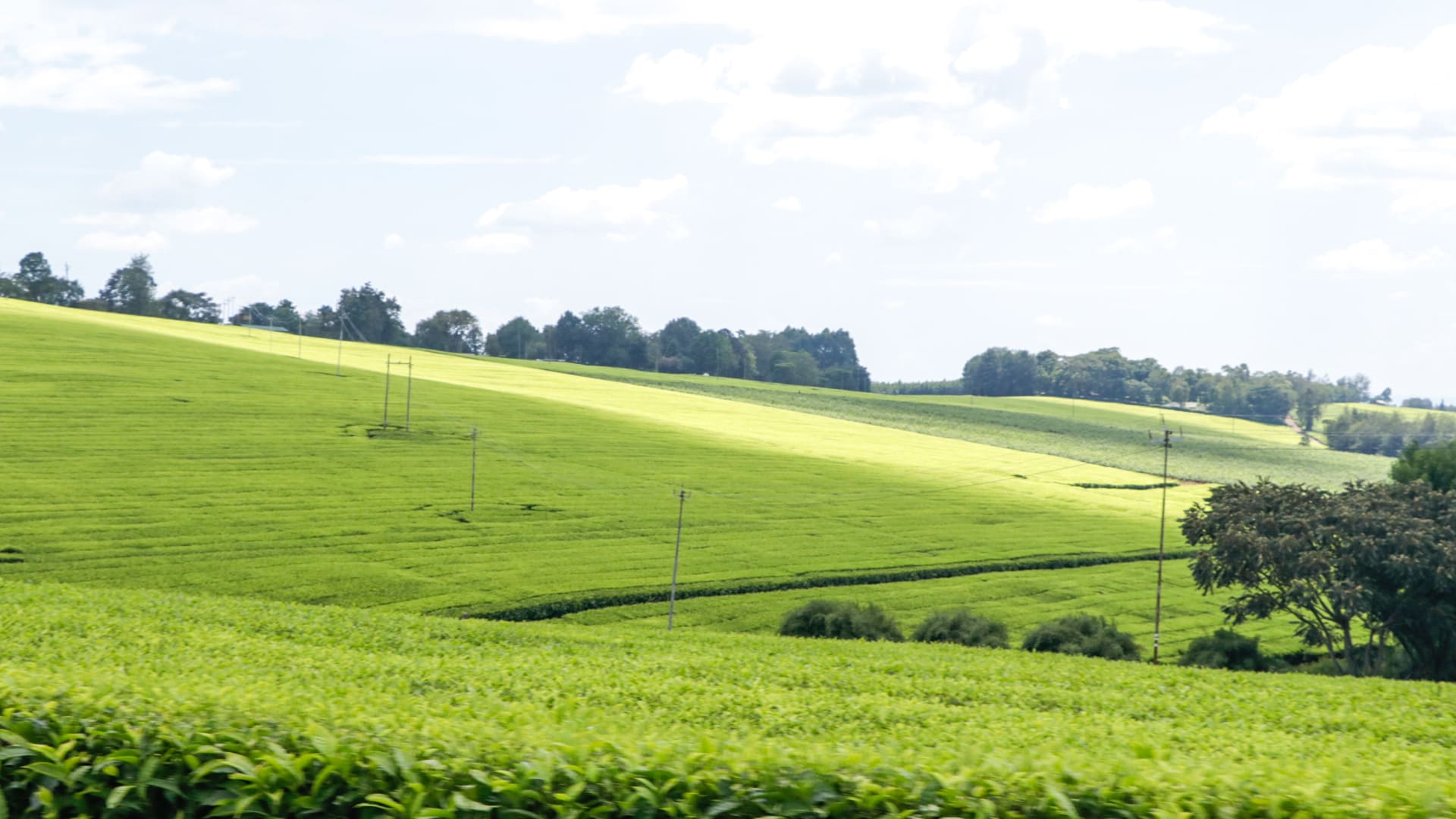 IUFRO2029